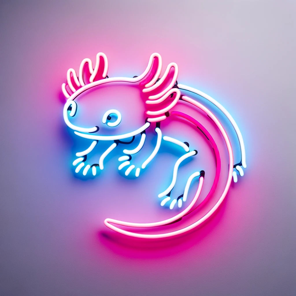 Lampe & Néon Axolotl – Axolotl-Group